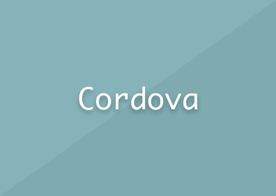 Cordovaのconfig.xmlで設定できる項目まとめ（android編） | オウンドメディア | 大阪市天王寺区ホームページ制作｜合同 ...